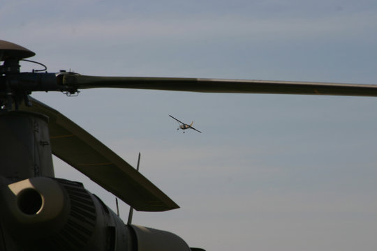 Bosbok Images – Browse 8 Stock Photos, Vectors, and Video | Adobe Stock