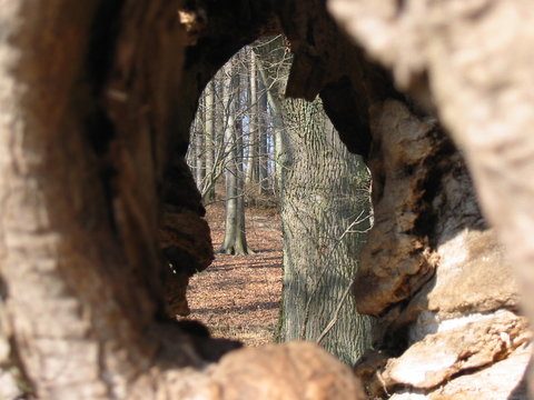 「Astloch」の画像 - 3,592 件の Stock 写真、ベクターおよびビデオ | Adobe Stock