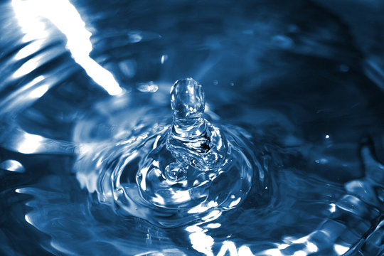 Emergence Images – Browse 19,308 Stock Photos, Vectors, and Video ...