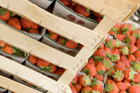 รูปภาพRavier – เลือกดูภาพถ่ายสต็อก เวกเตอร์ และวิดีโอ208 | Adobe Stock