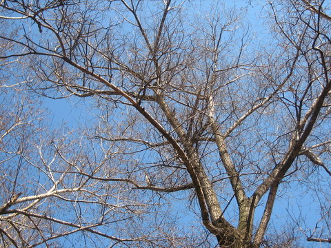 「Snobism」の写真素材 | 4件の無料イラスト画像 | Adobe Stock