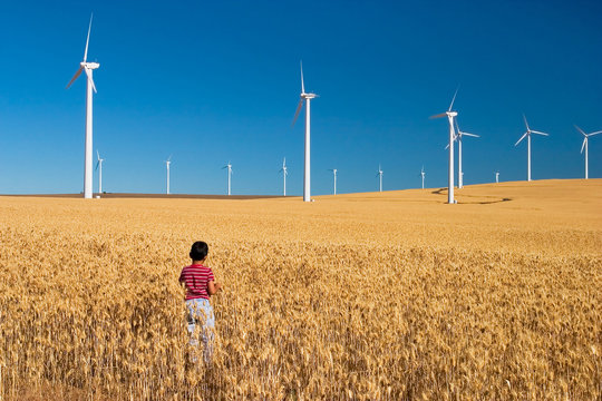 Gold Wind Turbine Images – HD & 4K Photos Free to Download | PikWizard
