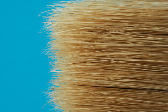 Pain-Brush Images – Browse 2 Stock Photos, Vectors, and Video | Adobe Stock