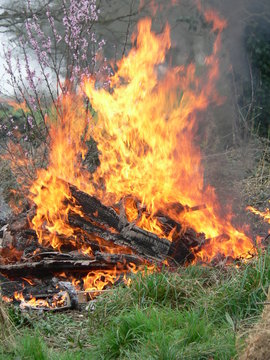 รูปภาพBoisette – เลือกดูภาพถ่ายสต็อก เวกเตอร์ และวิดีโอ7 | Adobe Stock