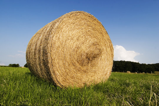 「Heurolle」の写真素材 | 194件の無料イラスト画像 | Adobe Stock