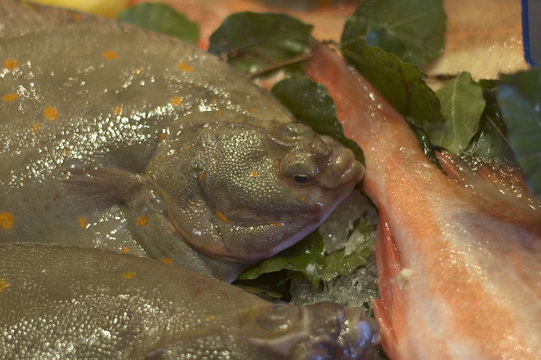 Carelet Images – Browse 55 Stock Photos, Vectors, and Video | Adobe Stock