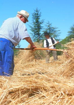 Moissonneur Images – Browse 23 Stock Photos, Vectors, and Video | Adobe ...