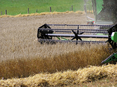 รูปภาพMoisson – เลือกดูภาพถ่ายสต็อก เวกเตอร์ และวิดีโอ16,677 | Adobe Stock