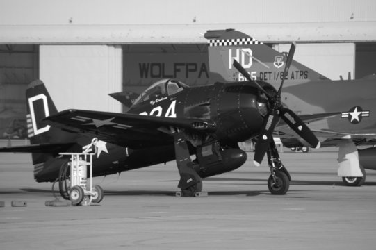 รูปภาพBearcat – เลือกดูภาพถ่ายสต็อก เวกเตอร์ และวิดีโอ2,164 | Adobe Stock