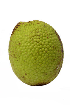 Uru Images – Browse 2,012 Stock Photos, Vectors, and Video | Adobe Stock