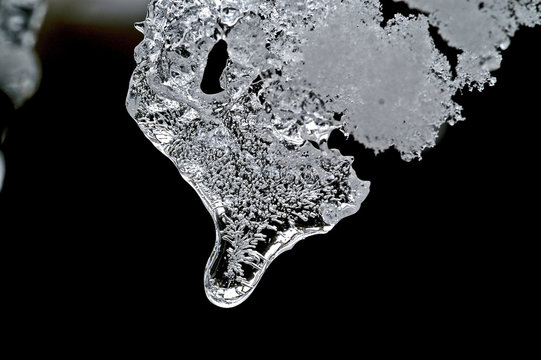 Spitzig bilder – Bläddra bland 460 stockfoton, vektorer och videor ...