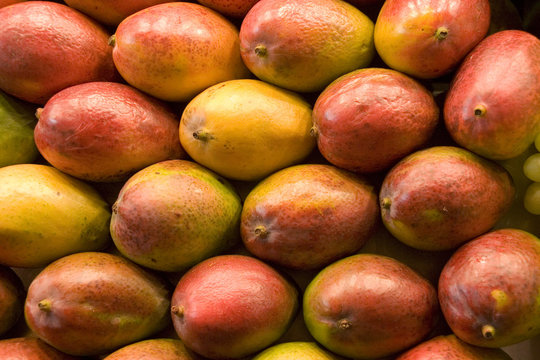 รูปภาพMangos – เลือกดูภาพถ่ายสต็อก เวกเตอร์ และวิดีโอ305,057 | Adobe Stock