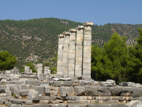 Afina Images – Browse 33 Stock Photos, Vectors, and Video | Adobe Stock