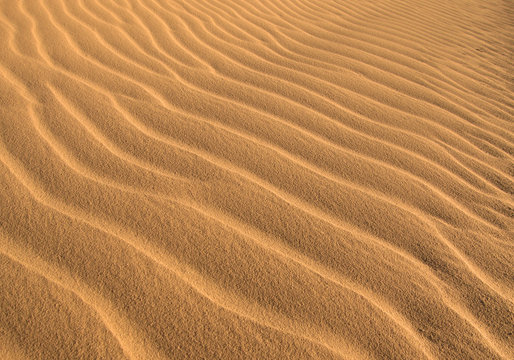 「Sable」の写真素材 | 219,025件の無料イラスト画像 | Adobe Stock