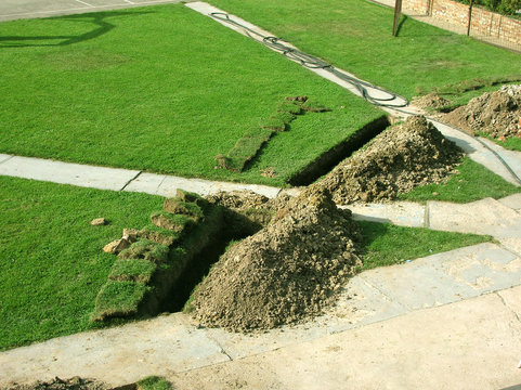 รูปภาพGrass-Plot – เลือกดูภาพถ่ายสต็อก เวกเตอร์ และวิดีโอ1,502 | Adobe ...