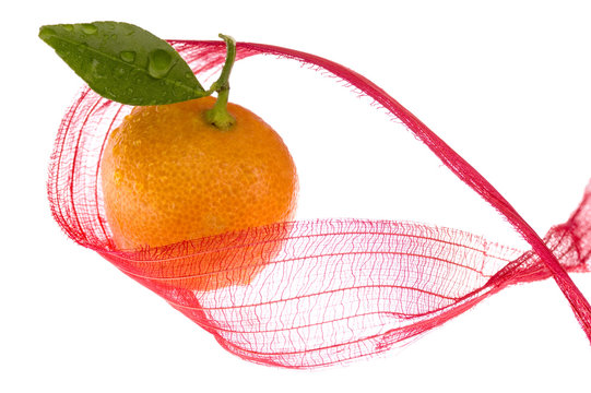 Panama-Orange Images – Browse 51 Stock Photos, Vectors, and Video ...