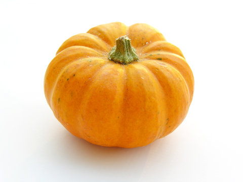 Potiron - Images et vidéos libres de droits | Adobe Stock