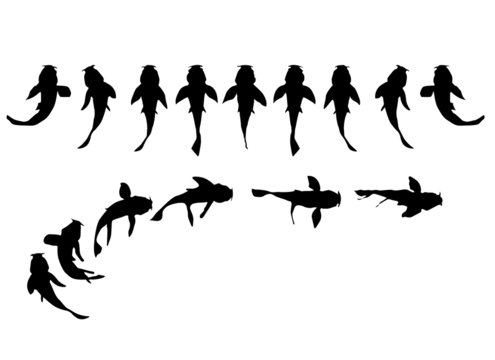 Fish-Breeding Images – Browse 54 Stock Photos, Vectors, and Video ...