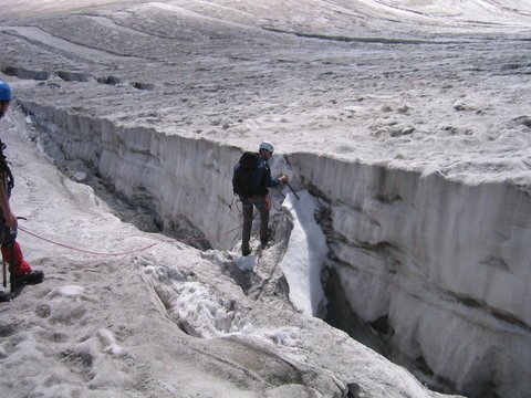 รูปภาพHaptera – เลือกดูภาพถ่ายสต็อก เวกเตอร์ และวิดีโอ1,426 | Adobe Stock