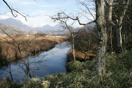 Riviere Imagens – Procure 11,650 fotos, vetores e vídeos | Adobe Stock