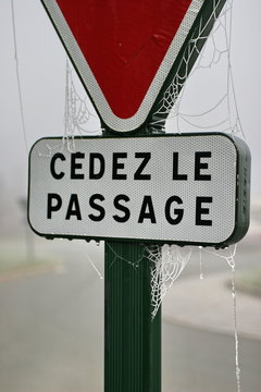 Cedez Images – Browse 29 Stock Photos, Vectors, and Video | Adobe Stock