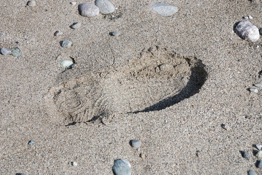 Orma bilder – Bläddra bland 589 stockfoton, vektorer och videor | Adobe ...