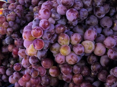 รูปภาพNapa – เลือกดูภาพถ่ายสต็อก เวกเตอร์ และวิดีโอ73,963 | Adobe Stock