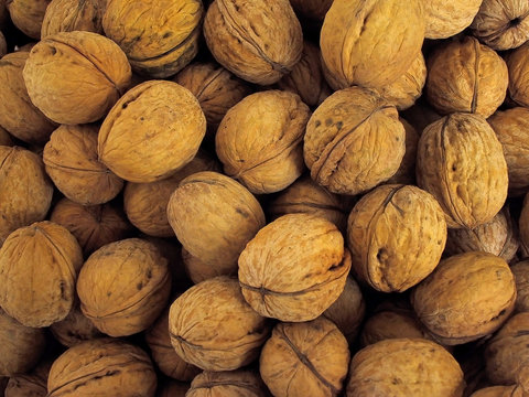 รูปภาพWall-Nuts – เลือกดูภาพถ่ายสต็อก เวกเตอร์ และวิดีโอ7 | Adobe Stock