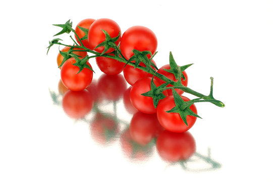 Sheri Images – Browse 55 Stock Photos, Vectors, and Video | Adobe Stock