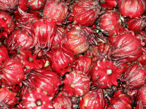Sorrel Fruit Images – Browse 4,022 Stock Photos, Vectors, and Video ...