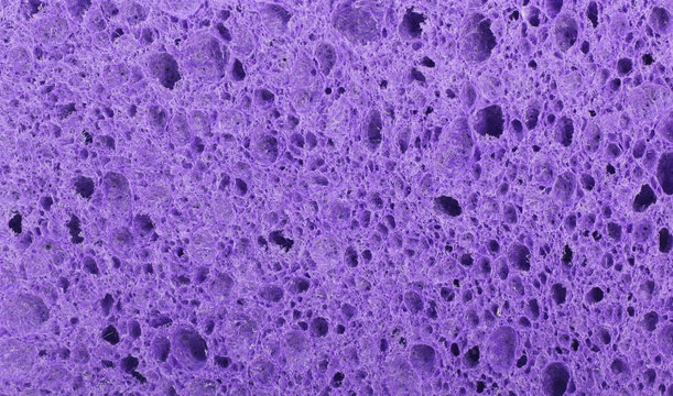Purple.sponge Images – Browse 13,179 Stock Photos, Vectors, and Video ...