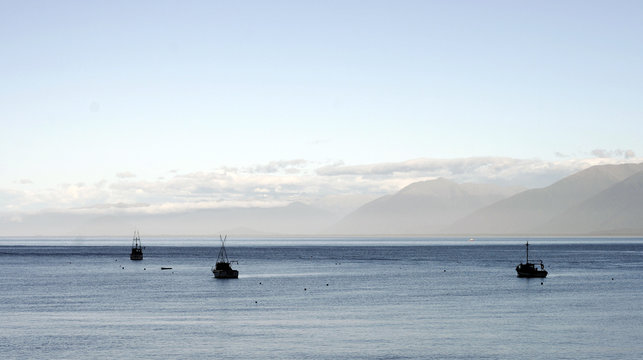 Imágenes de "Jackson Bay": descubre bancos de fotos, ilustraciones ...