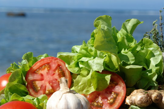 Thims Images – Browse 44 Stock Photos, Vectors, and Video | Adobe Stock