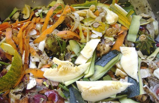 "Vegetable Waste" Images – Browse 135 Stock Photos, Vectors, and Video ...