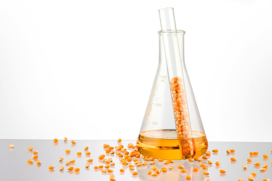 รูปภาพBioethanol – เลือกดูภาพถ่ายสต็อก เวกเตอร์ และวิดีโอ49,922 | Adobe ...