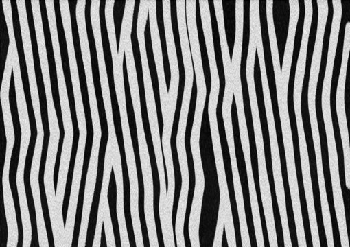 Zebra Fell Images – Browse 16,072 Stock Photos, Vectors, and Video ...