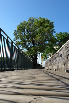 Passnummer Bilder – Durchsuchen 92 Archivfotos, Vektorgrafiken und ...