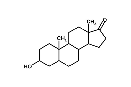 Androsterone Images – Browse 55 Stock Photos, Vectors, and Video ...