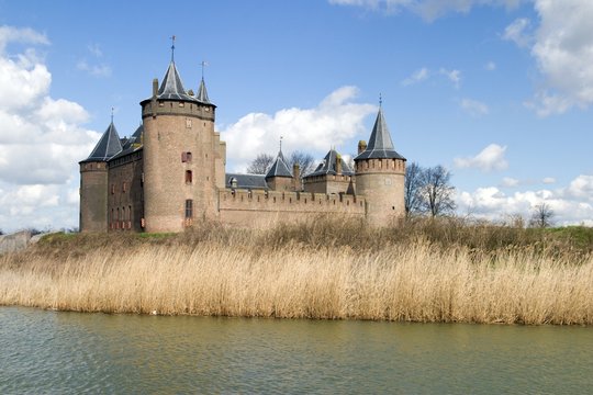 「Catle」の写真素材 | 2,167件の無料イラスト画像 | Adobe Stock