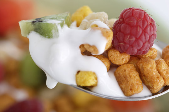 Zerealien bilder – Bläddra bland 925 stockfoton, vektorer och videor ...