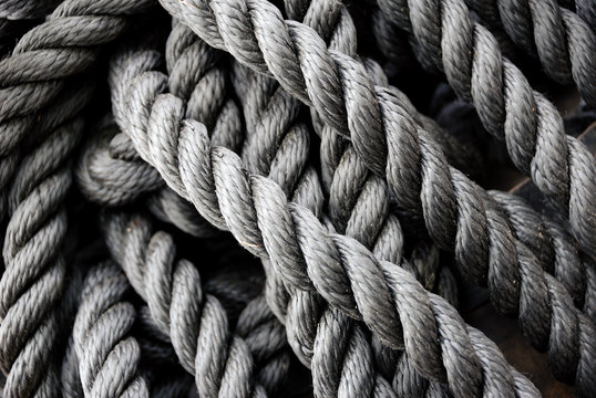 Imágenes de Trosse: descubre bancos de fotos, ilustraciones, vectores y ...