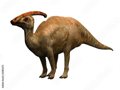 "parasaulophus the dinosaur" Stock photo and royalty-free images on ...