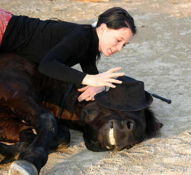 รูปภาพArgant – เลือกดูภาพถ่ายสต็อก เวกเตอร์ และวิดีโอ383 | Adobe Stock