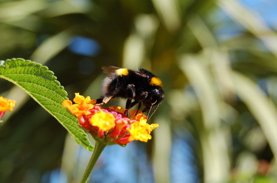 Gfgffg Images – Browse 8 Stock Photos, Vectors, and Video | Adobe Stock