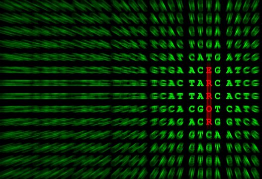 รูปภาพBasensequenz – เลือกดูภาพถ่ายสต็อก เวกเตอร์ และวิดีโอ16 | Adobe Stock