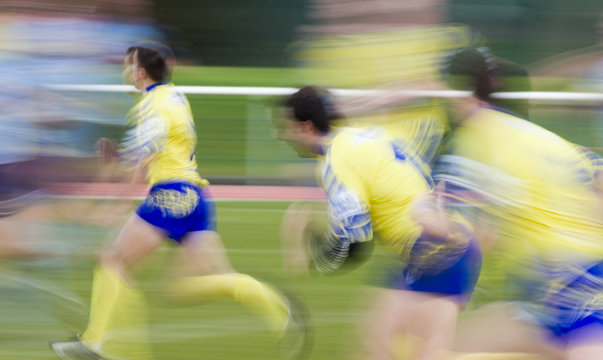 Imágenes de Haptera: descubre bancos de fotos, ilustraciones, vectores ...