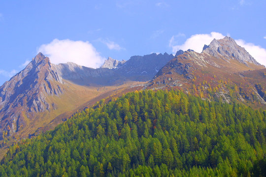 รูปภาพFelse – เลือกดูภาพถ่ายสต็อก เวกเตอร์ และวิดีโอ290 | Adobe Stock