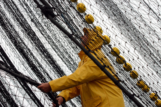 รูปภาพThonier – เลือกดูภาพถ่ายสต็อก เวกเตอร์ และวิดีโอ268 | Adobe Stock