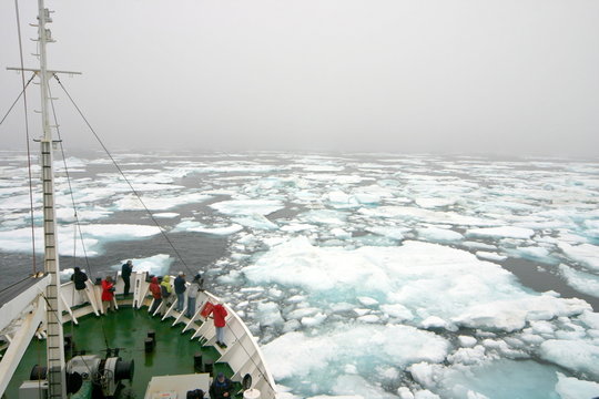 รูปภาพPackeis – เลือกดูภาพถ่ายสต็อก เวกเตอร์ และวิดีโอ2,595 | Adobe Stock