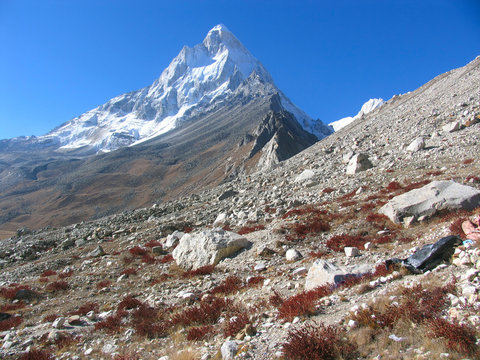 1,000 BEST Shivling IMAGES, STOCK PHOTOS & VECTORS | Adobe Stock